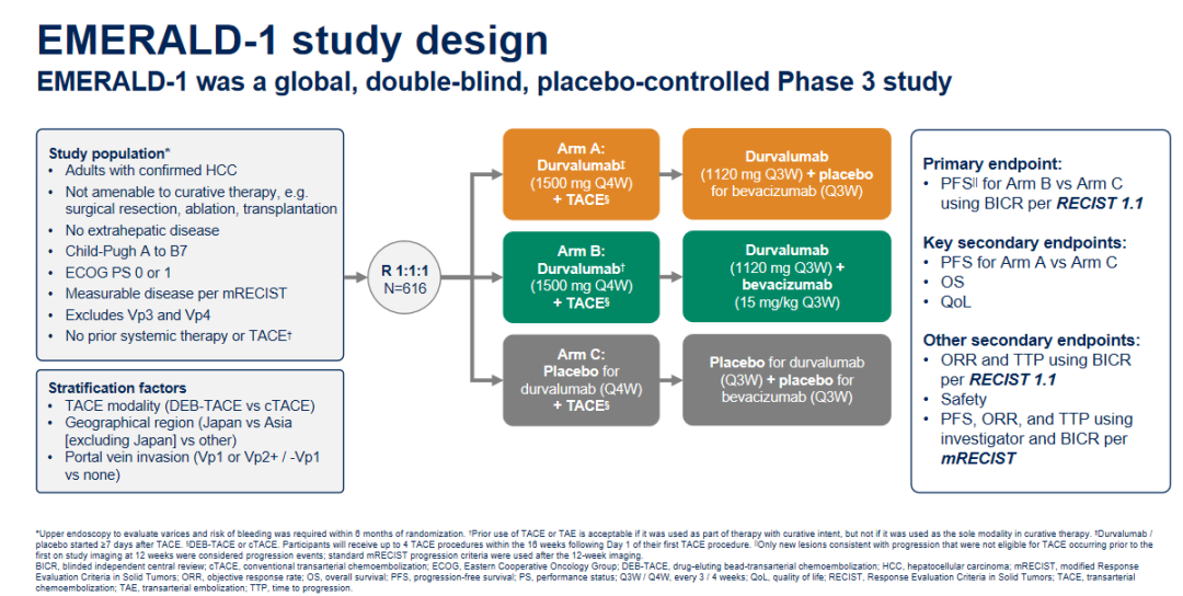 Nguyen Huyen Viem Gan